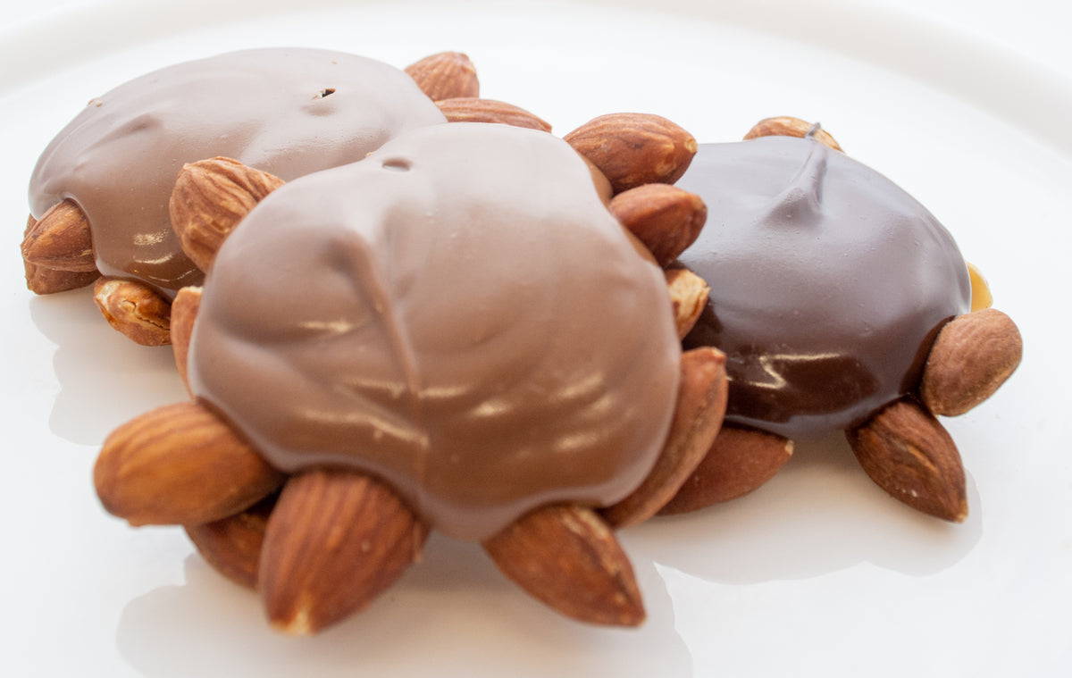 Homemade Almond Turtles – KANDY KORNER